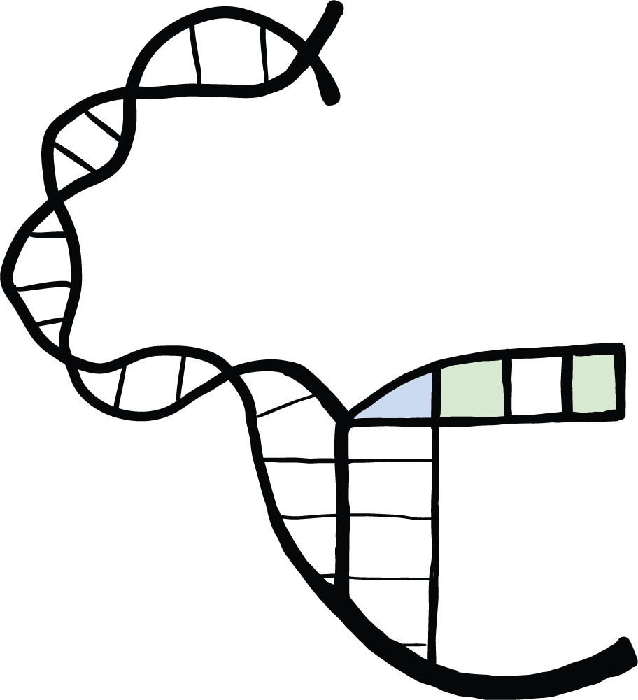 CloneCoordinate | Free, open source lab-scale DNA foundry software for ...